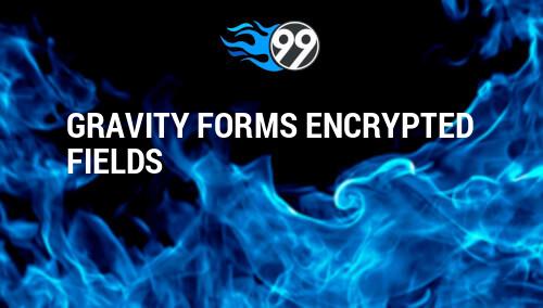 Gravity Forms Encrypted Fields - 99Plugs