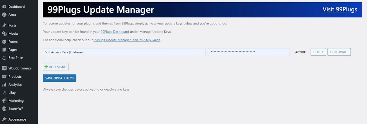 99Plugs Update Manager Step-by-Step Guide - 99Plugs