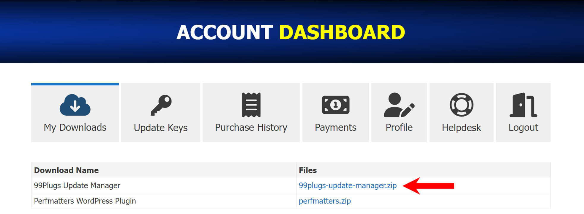 99Plugs Update Manager Step-by-Step Guide - 99Plugs